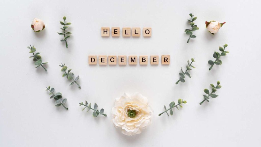 Your Complete Guide To December: All The Holiday