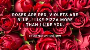 78 Roses Are Red Violets Are Blue Funny Jokes - Lifestyle Toppings