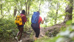 Types Of Entertainment - 7 Different Forms of Amusement