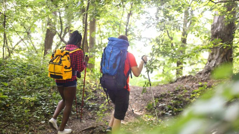 Types Of Entertainment - 7 Different Forms of Amusement